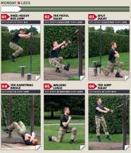 Zusammen Verk ufer Immunisieren Military Fitness Plan Algebra Zusammen Verk ufer Immunisieren Military Fitness Plan Algebra