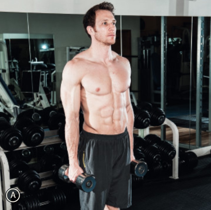 How To Build Bigger Arm Muscles | Men's Fitness
